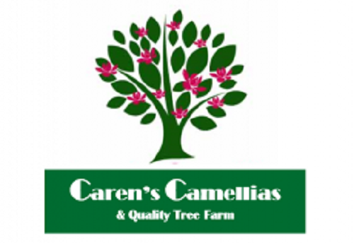 Caren's Camellias & Tree Farm