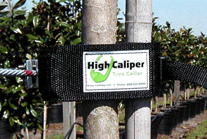High Caliper™ Growing System - High Caliper: Tree Collars