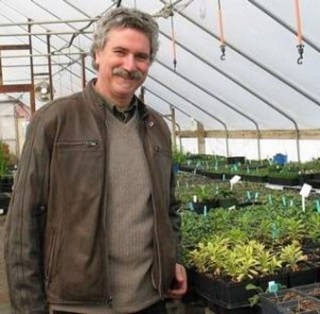 North Creek Nurseries - Buzz Feed: New & Underused Native Perennials
